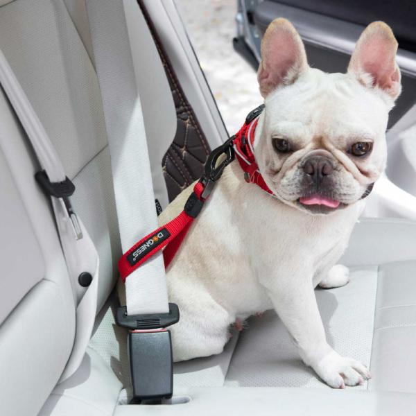 ワンちゃんと一緒に車で外出、でもワンちゃんはシートベルトをしてじっとしていてくれません。じゃあキャリーケースに入ってもらう？いえいえ、このカーシートベルトを使えばワンちゃんの行動範囲を制限させることで安全な環境を作れます。ショートタイプはシ...