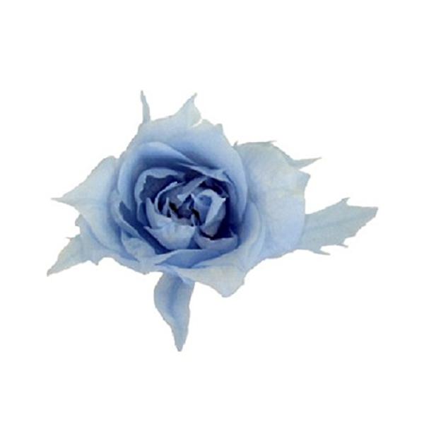 【商品概要】サイズ:14mm?20mm本体重量:約1g/個カラー:パウダーブルー内容量:20輪生産国:コロンビア【商品説明】【商品詳細】ブランド：アスク商品種別：ホーム＆キッチン商品名：フロールエバー マイクロローズ パウダーブルー 20輪...