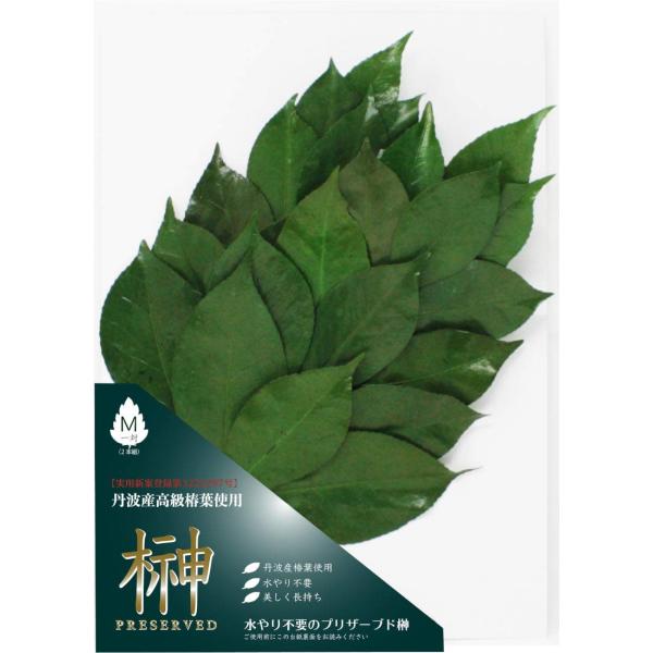 【商品概要】原産国:日本素材:椿葉サイズ:約15×1(厚み)×32cm取扱説明書あり(パッケージ裏面)【商品説明】【商品詳細】ブランド：A&amp;K商品種別：ホーム＆キッチン商品名：A&amp;K 日本製 プリザーブドフラワー 榊 一対(...
