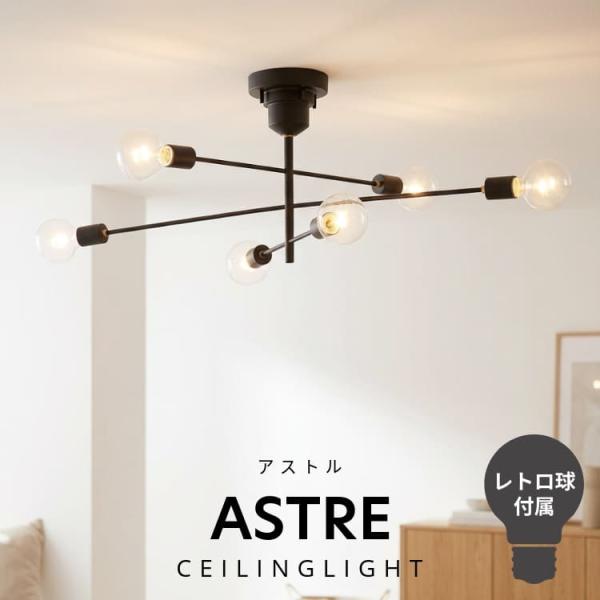 サイズ本体：幅1320×奥行き165-790×高さ380（mm）シーリングカバー：直径165×高さ125（mm）アーム可動域：340°重量2.2-2.7（kg）カラーブラック材質スチール、真鍮付属品レトロ白熱球：E26/60W レトロ球×6...