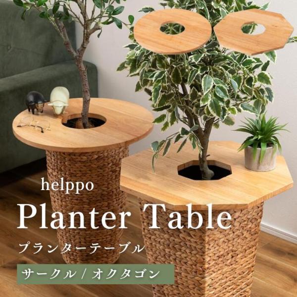 天然木のぬくもりを感じる北欧風デザインの「helppo」シリーズより、プランターの上に設置するだけで、観葉植物がおしゃれなテーブルになるアイテムが登場しましたダボをはめ込むだけで簡単にセットする事が可能です材質 天然木（ラバーウッド） ラッ...
