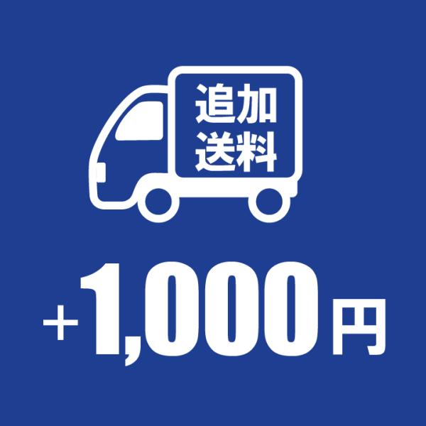 送料追加＋1000円