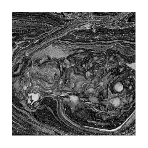 【発売日：2019年03月20日】BiS (ビス びす)2019年3月20日 発売2018年12月29日のZepp Tokyoで行われたツアーファイナルで、BiSを2グループに分裂させていた(BiS.LEAGUE)が廃止することが発表された...