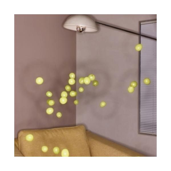 【発売日：2024年12月18日】土岐麻子 (トキアサコ ときあさこ)2024年12月18日 発売2024年ソロデビュー20周年を迎え、ベストアルバム発売にライブツアー、様々なアーティストとのコラボレーションなど、精力的に活動を続けるシンガ...