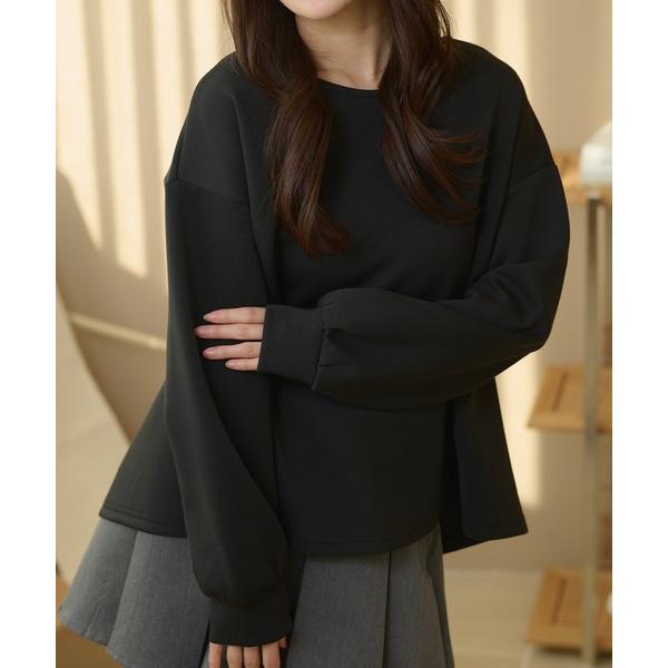 ZOZO問い合わせ番号:101187404ショップ:Lace Ladies，レースレディースブランド:DAYRA，デイラ商品名:クルーネック 切り替え バックスリット 長袖 トップスカテゴリ:トップス>Tシャツ/カットソーブランド品番...