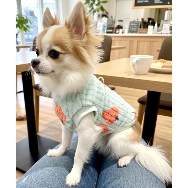 『タイムセール実施中』※このアイテムは返品・交換対象外商品です。ZOZO問い合わせ番号:101414810ショップ:yield，イールドブランド:yield，イールド商品名:【yield select】ペット服 リードフック付き いちご柄 ...