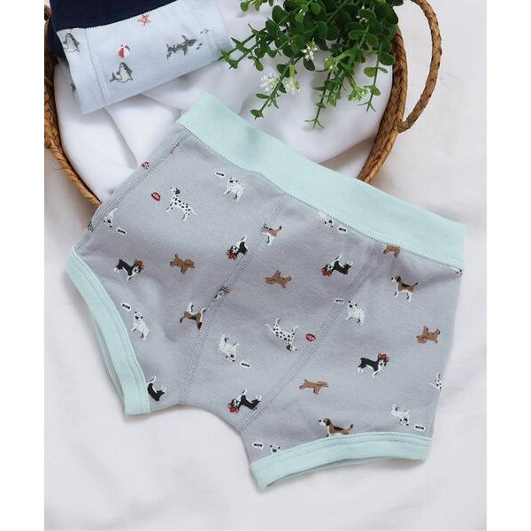 ※このアイテムは返品・交換対象外商品です。ZOZO問い合わせ番号:101562806ショップ:F.O.Online Store，エフオーオンラインストアブランド:apres les cours，アプレレクール商品名:BOYSサメ・犬総柄パン...