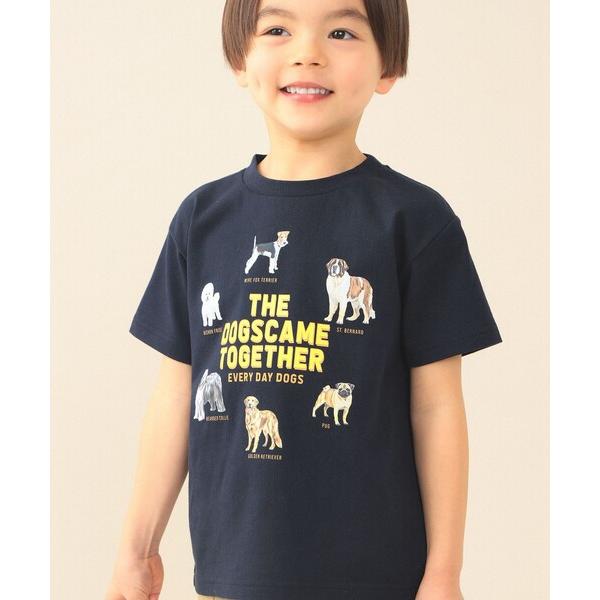 ZOZO問い合わせ番号:101998679ショップ:BEAMS HEART，ビームスハートブランド:BEAMS mini，ビームスミニ商品名:いぬ ねこ Tシャツ 2026SS（90〜140cm）カテゴリ:トップス>Tシャツ/カットソ...