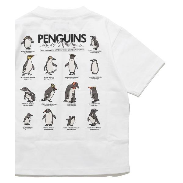 ZOZO問い合わせ番号:102037911ショップ:KRIFF MAYER，クリフメイヤーブランド:KRIFF MAYER Kid's Collection，クリフメイヤーキッズコレクション，KRIFF MAYER，クリフメイヤー商品名:【...