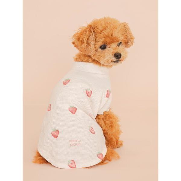 ※このアイテムは返品・交換対象外商品です。ZOZO問い合わせ番号:102454891ショップ:gelato pique，ジェラート　ピケブランド:gelato pique，ジェラートピケ商品名:【CAT＆DOG】フルーツ柄ワッフルカットソー...