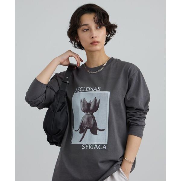 ZOZO問い合わせ番号:102541885ショップ:ADAM ET ROPE'，アダムエロペブランド:SALON adam et rope'，サロン アダム エ ロペ商品名:【KARL BLOSSFELDT  by SALON】フォトロング...