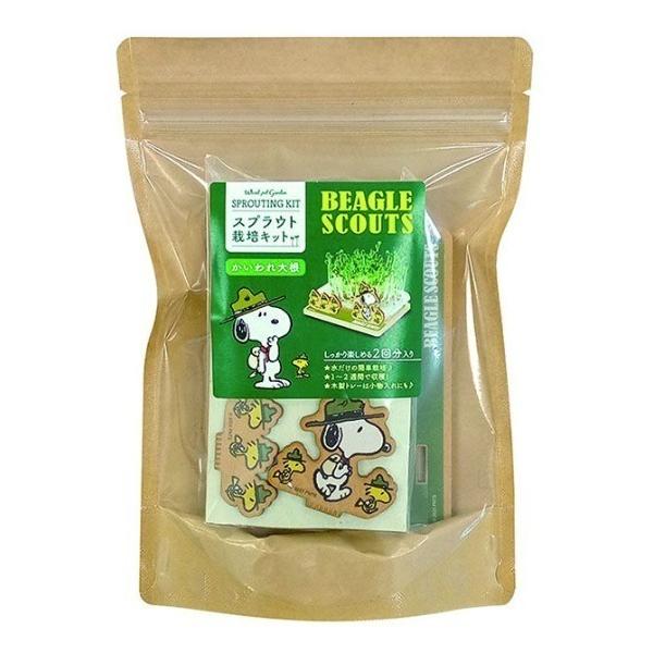 ZOZO問い合わせ番号:102544834ショップ:hopely，ホープリーブランド:SNOOPY，スヌーピー，SPECIAL PRODUCT DESIGN，スペシャルプロダクトデザイン商品名:SN スプラウト栽培キット(ビーグル・スカウト...