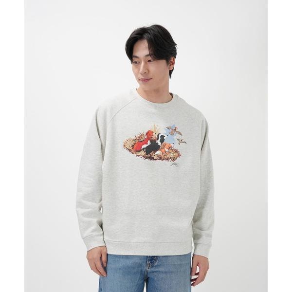 『タイムセール実施中』参考価格：13，750円発売時期：2025年10月コンディション：C（やや使用感あり）使用感があり、やや気になる傷や汚れがあるアイテム全体的：保管上のにおいがします。参考商品名：”CAT”＆”DOG” Hirochik...