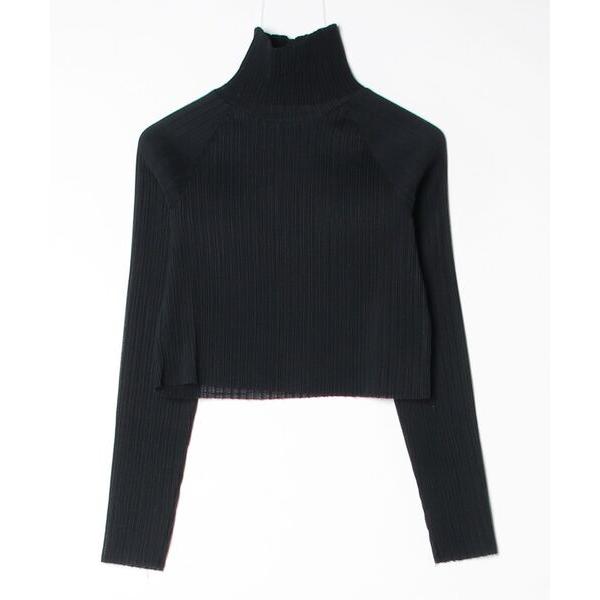 『セール実施中』参考価格：27，500円発売時期：2023年07月コンディション：D（傷・汚れあり）傷や汚れがあるが使用には問題ないアイテムブランドタグ：欠損首周り：汚れ参考商品名：Pleats Turtleneck Cropped Top...