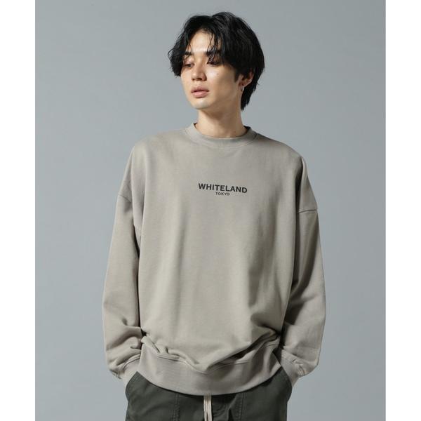 参考価格：5，940円発売時期：2023年07月コンディション：B（目立つ使用感なし）使用感が少ない、または気にならないアイテム前身頃：汚れ参考商品名：【WEB＆DEPOT限定】WHITELAND/ホワイトランド/TOKYO CREWNEC...