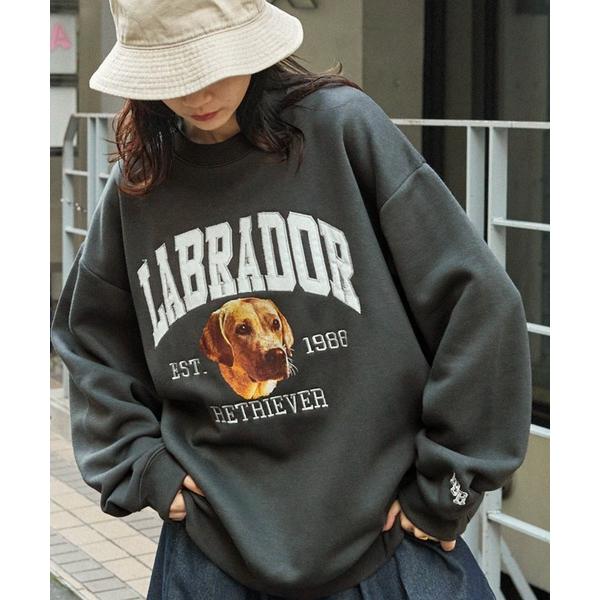 参考価格：4，290円発売時期：2022年09月コンディション：A（使用感なし）数回使用した程度で使用感が感じられないアイテム参考商品名：Labrador Retriever/ラブラドールレトリーバー 別注 カレッジロゴ刺繍 ビッグシルエッ...