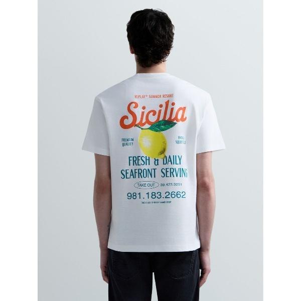 ZOZO問い合わせ番号:103163491ショップ:REPLAY，リプレイブランド:REPLAY，リプレイ商品名:ヘビーコットンジャージーSICILYプリントTシャツカテゴリ:トップス>Tシャツ/カットソーブランド品番:M3378 ....