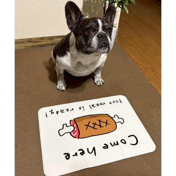 ※このアイテムは返品・交換対象外商品です。ZOZO問い合わせ番号:103271266ショップ:LAKOLE，ラコレブランド:LAKOLE，ラコレ商品名:フードマット / 638805カテゴリ:ペットグッズ>その他ペットグッズブランド品...