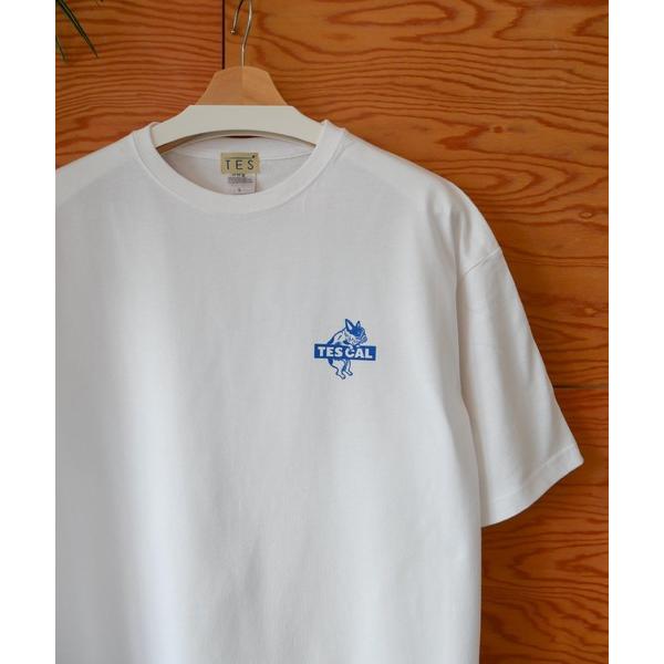 『セール実施中』参考価格：6，600円発売時期：2024年02月コンディション：B（目立つ使用感なし）使用感が少ない、または気にならないアイテム全体的：汚れ、色あせ参考商品名：【WEB / FLAG SHOP限定】TES CAL BOX L...