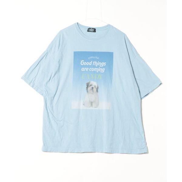 『セール実施中』コンディション：B（目立つ使用感なし）使用感が少ない、または気にならないアイテム首周り：汚れZOZO問い合わせ番号:103401303ショップ:ZOZOUSED，ゾゾユーズドブランド:Candy Stripper，キャンディ...