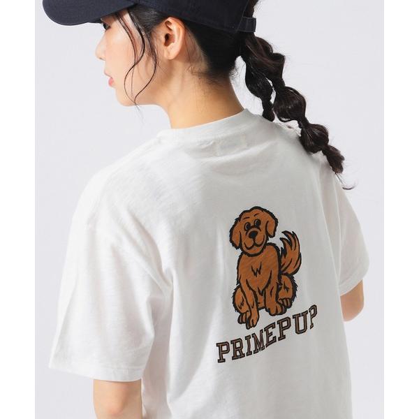 ZOZO問い合わせ番号:103506356ショップ:BEAMS WOMEN，ビームスウィメンブランド:BEAMS BOY，ビームスボーイ商品名:ボーイ ドッグ Tシャツカテゴリ:トップス>Tシャツ/カットソーブランド品番:13-04-...