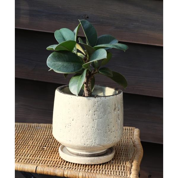 ZOZO問い合わせ番号:103815032ショップ:DULTON，ダルトンブランド:DULTON，ダルトン商品名:GLAZED EARTHENWARE POT M/植木鉢 プランターカテゴリ:インテリア>フラワーベースブランド品番:N...