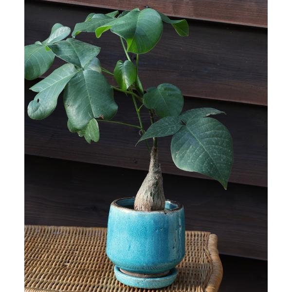ZOZO問い合わせ番号:103815033ショップ:DULTON，ダルトンブランド:DULTON，ダルトン商品名:GLAZED EARTHENWARE POT S/植木鉢 プランターカテゴリ:インテリア>フラワーベースブランド品番:N...