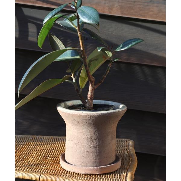 ZOZO問い合わせ番号:103815034ショップ:DULTON，ダルトンブランド:DULTON，ダルトン商品名:GLAZED EARTHENWARE POT L IVORY/植木鉢 プランターカテゴリ:インテリア>フラワーベースブラ...