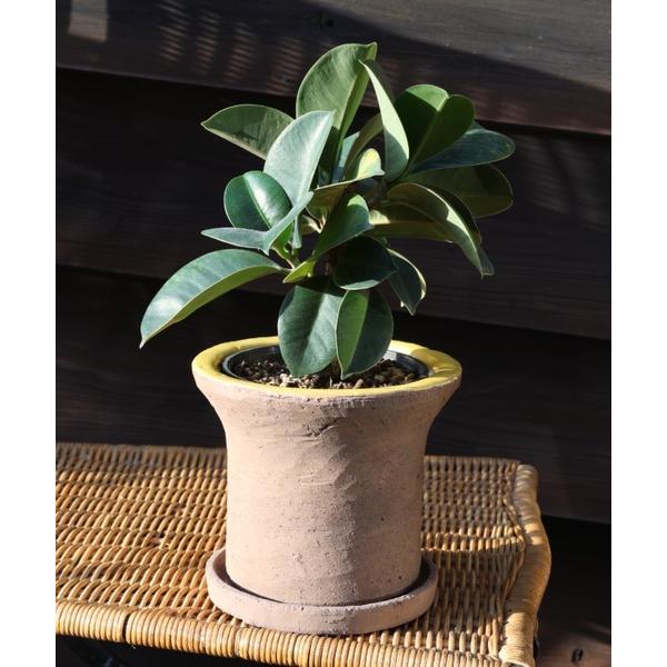 ZOZO問い合わせ番号:103815035ショップ:DULTON，ダルトンブランド:DULTON，ダルトン商品名:GLAZED EARTHENWARE POT M YELLOW/植木鉢 プランターカテゴリ:インテリア>フラワーベースブ...