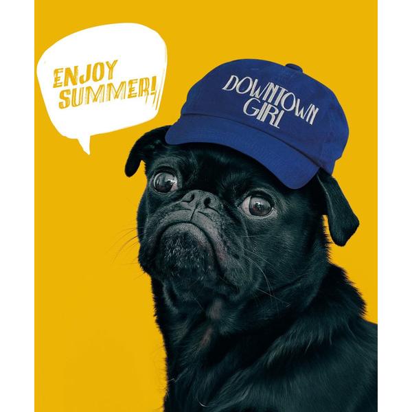 参考価格：3，960円発売時期：2024年04月コンディション：B（目立つ使用感なし）使用感が少ない、または気にならないアイテム全体的：汚れ【商品に関する注意事項】・こちらの商品画像は、実物ではなく新品時の画像を掲載しております。・お届けす...