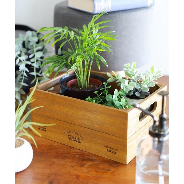 ZOZO問い合わせ番号:104173675ショップ:LAKOLE，ラコレブランド:LAKOLE，ラコレ商品名:ウッドボックス(M) / 655800カテゴリ:インテリア>フラワーベースブランド品番:655800素材:桐原産国:CHIN...