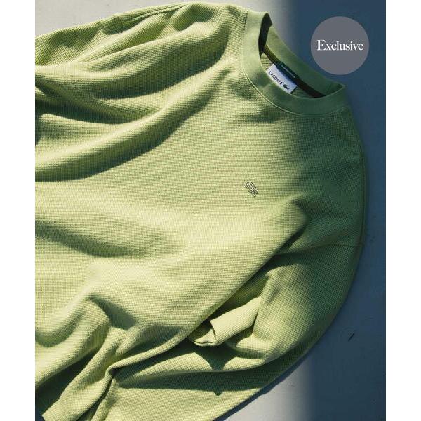 ZOZO問い合わせ番号:104485154ショップ:URBAN RESEARCH DOORS，アーバン リサーチ ドアーズブランド:LACOSTE，ラコステ，URBAN RESEARCH DOORS，アーバンリサーチドアーズ商品名:『別注』...