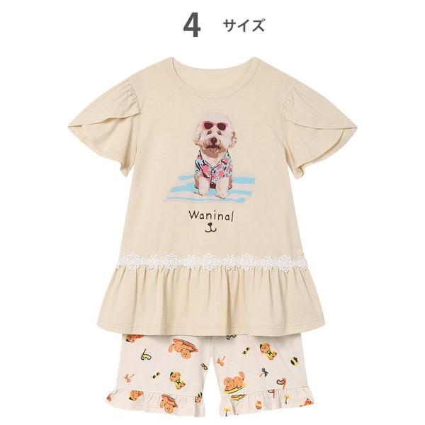 ZOZO問い合わせ番号:104771490ショップ:Wacoal，ワコールブランド:WACOAL KIDS，ワコールキッズ，WACOAL，ワコール商品名:ワコールキッズ　「Waninal」ワニナル　パジャマ　3分袖　3分丈カテゴリ:ルームウ...