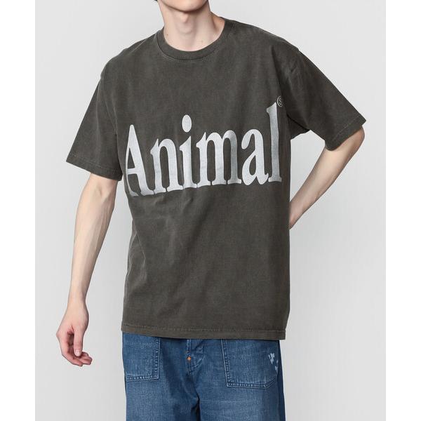 ZOZO問い合わせ番号:104807397ショップ:Bshop，ビショップブランド:Bshop，ビショップ商品名:STUDIO WEAREALLANIMALS | Animals Letter 半袖Tシャツ MENカテゴリ:トップス>...