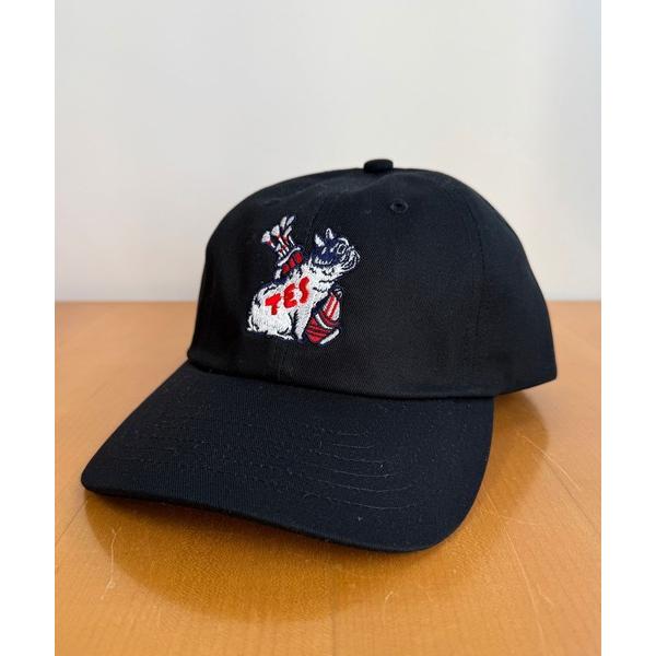 ZOZO問い合わせ番号:104918772ショップ:NAVAL，ナバルブランド:The Endless Summer，エンドレスサマー商品名:TES GOLF LOWCAPカテゴリ:帽子>キャップブランド品番:26174704素材:コ...