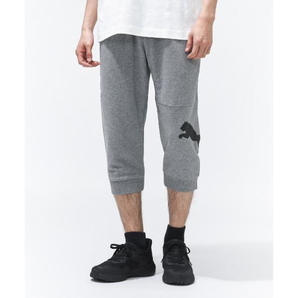 ZOZO問い合わせ番号:105042605ショップ:アルペンZOZOTOWN店，アルペンゾゾタウンテンブランド:PUMA，プーマ商品名:プーマ PUMA ESS 3/4 ロゴ PT TR_カテゴリ:パンツ>その他パンツブランド品番:P...