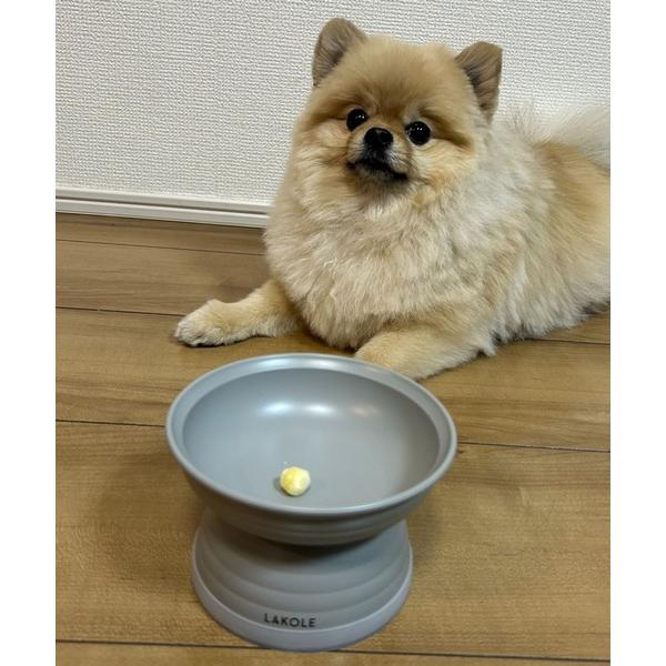 ※このアイテムは返品・交換対象外商品です。ZOZO問い合わせ番号:105463021ショップ:LAKOLE，ラコレブランド:LAKOLE，ラコレ商品名:スタンドフードボウル / 667607カテゴリ:ペットグッズ>その他ペットグッズブ...