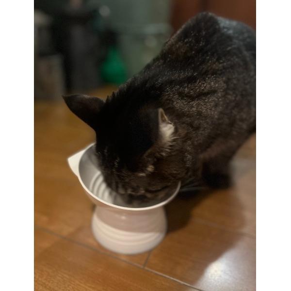 ※このアイテムは返品・交換対象外商品です。ZOZO問い合わせ番号:105463026ショップ:LAKOLE，ラコレブランド:LAKOLE，ラコレ商品名:スタンドフードボウル[ネコ] / 667608カテゴリ:ペットグッズ>その他ペット...