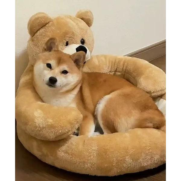 ※このアイテムは返品・交換対象外商品です。ZOZO問い合わせ番号:105783687ショップ:MANGROVE，マングローブブランド:Made in I，メイドインアイ，MANGROVE，マングローブ商品名:テディベア型ペット用ベッドカテゴ...