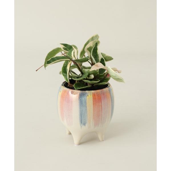 ZOZO問い合わせ番号:105865440ショップ:TODAY'S SPECIAL，トゥデイズスペシャルブランド:TODAY'S SPECIAL，トゥデイズスペシャル商品名:LEGATO POT / 681375カテゴリ:インテリア>...