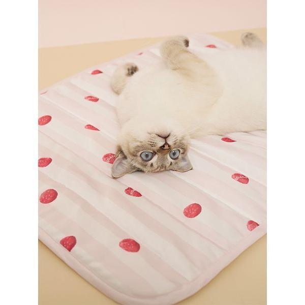 ※このアイテムは返品・交換対象外商品です。ZOZO問い合わせ番号:106095435ショップ:gelato pique，ジェラート　ピケブランド:gelato pique，ジェラートピケ商品名:【CAT＆DOG】【接触冷感】 Cooling...