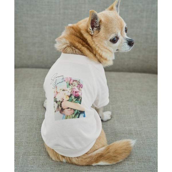 『セール実施中』※このアイテムは返品・交換対象外商品です。ZOZO問い合わせ番号:106096535ショップ:ROPE' PICNIC，ロぺピクニックブランド:ROPE' PICNIC，ロペピクニック商品名:【DOG】RENU photo ...