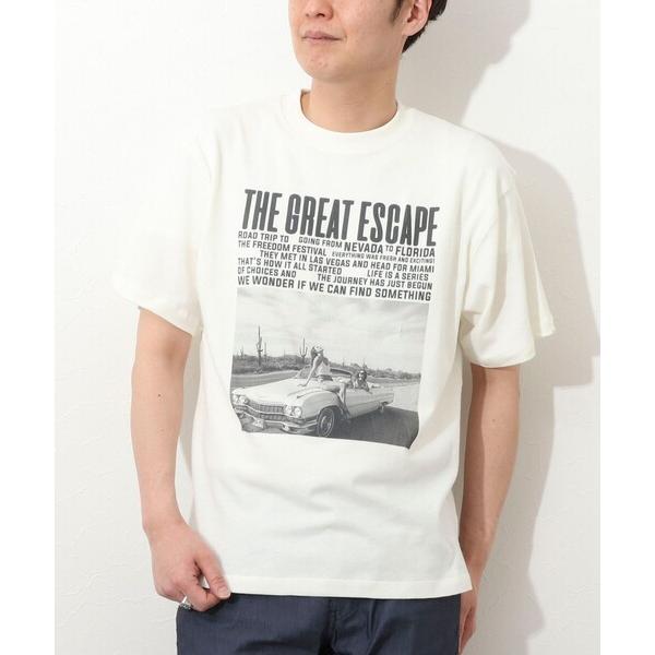 『セール実施中』ZOZO問い合わせ番号:106177442ショップ:NOLLEY'S，ノーリーズブランド:NOLLEY'S LIGHT，ノーリーズライト，NOLLEY'S，ノーリーズ商品名:甘編み天竺 PHOTO Tカテゴリ:トップス&gt...