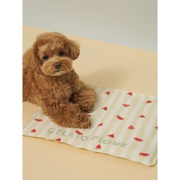 ※このアイテムは返品・交換対象外商品です。ZOZO問い合わせ番号:106408362ショップ:gelato pique，ジェラート　ピケブランド:gelato pique，ジェラートピケ商品名:「CAT＆DOG」サマーモチーフ柄Coolin...