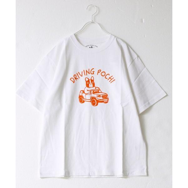 ZOZO問い合わせ番号:106600393ショップ:FREDY&amp;GLOSTER，フレディ アンド グロスターブランド:FREDY MAC，フレディーマック，FREDY&amp;GLOSTER，フレディアンドグロスター商品名:【マック...