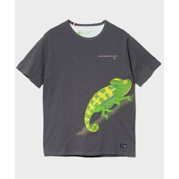 ZOZO問い合わせ番号:106687239ショップ:go slow caravan，ゴースローキャラバンブランド:go slow caravan，ゴースローキャラバン商品名:ESPACE VERT/エスパスヴェール　カメレオン  S/S T...