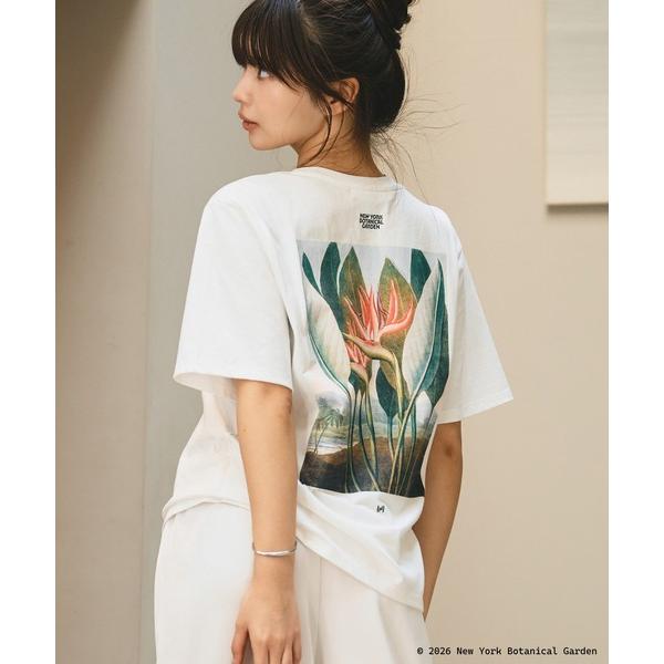 ZOZO問い合わせ番号:107154545ショップ:Joint Space，ジョイントスペースブランド:KINO THE KEI，キノザケイ商品名:NYBG ストレリチア バックプリント TEE KINO THE KEIカテゴリ:トップス&...