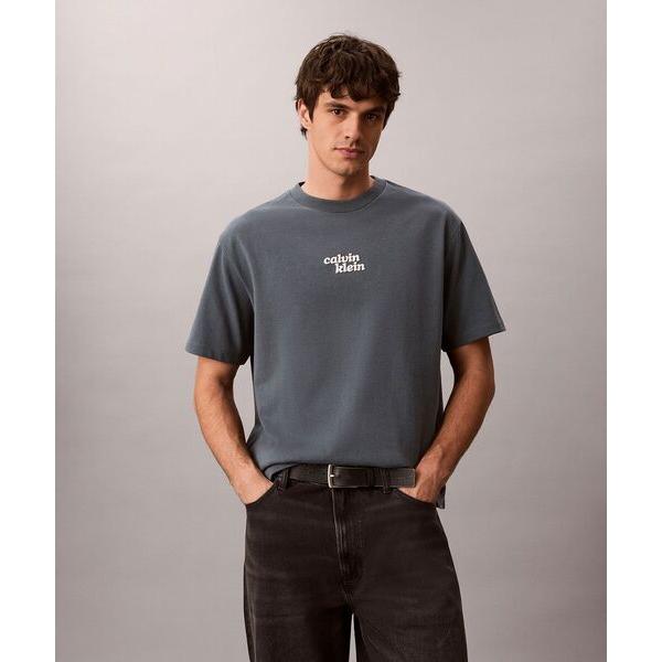 ZOZO問い合わせ番号:107383710ショップ:Calvin Klein，カルバンクラインブランド:Calvin Klein，カルバン・クライン商品名:ショートスリーブリラックス300Tシャツカテゴリ:トップス>Tシャツ/カットソ...