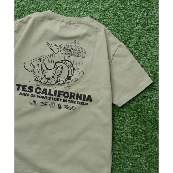 ZOZO問い合わせ番号:107767226ショップ:NAVAL，ナバルブランド:The Endless Summer，エンドレスサマー商品名:TES SURF PRO.BALL ROOKIE T-SHIRT / Tシャツカテゴリ:トップス&...