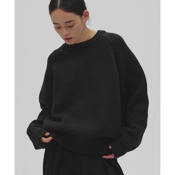 ZOZO問い合わせ番号:108385693ショップ:TODAYFUL，トゥデイフルブランド:TODAYFUL，トゥデイフル商品名:Raglan Knit Pulloverカテゴリ:トップス>ニット/セーターブランド品番:1262052...